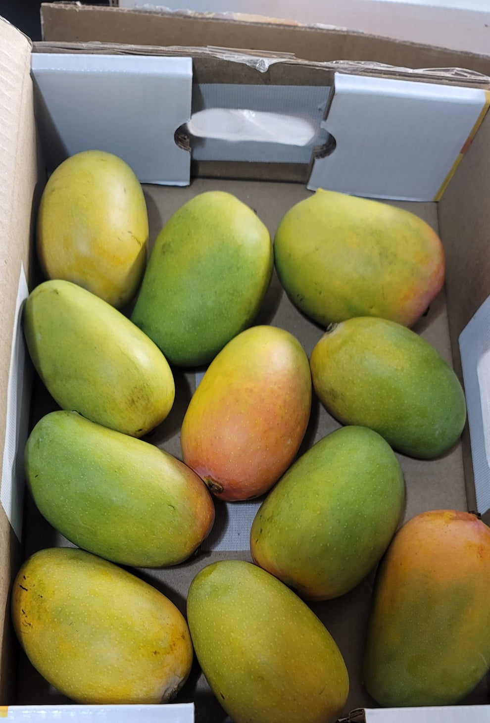 Kesar – Swadesi Mangoes